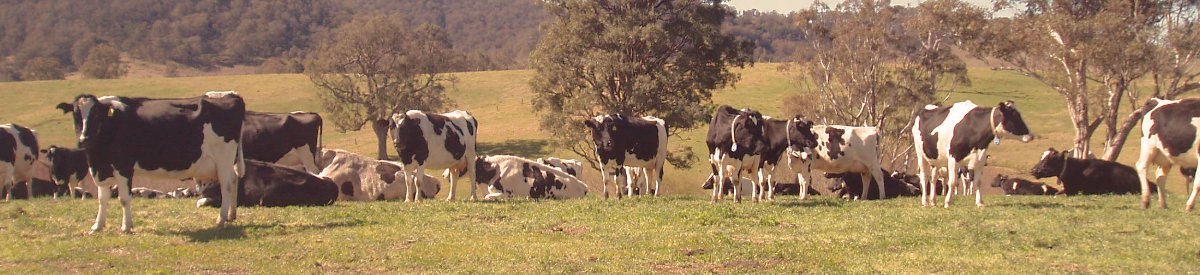 Benefits - Bega Group